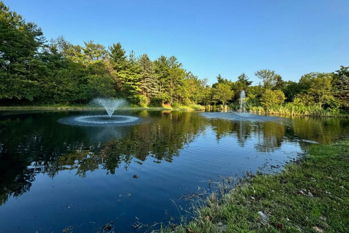 Pond Of The Year 2024 | McCloud Aquatics | #1 & Expert Water Management ...